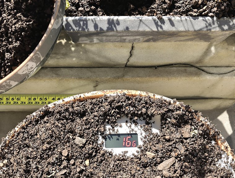 Safe Weight Limits: Soil Guide for Balcony Gardens – Urban Greenthumbs